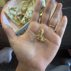 DIAMOND PALACE CUISINE OF INDIA - 363 Photos & 543 Reviews - 1241 Grand ...