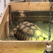 JUST PETS - 34 Photos & 12 Reviews - Pet Stores - 393 Main Rd, Irving ...