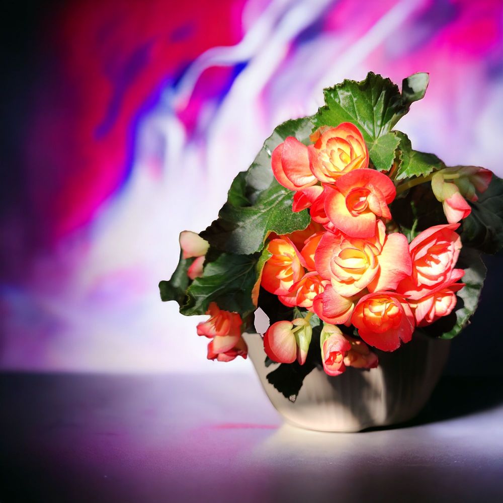 PAT’S FARMS GARDEN CENTER - Updated January 2026 - 71 Photos - 1126 ...