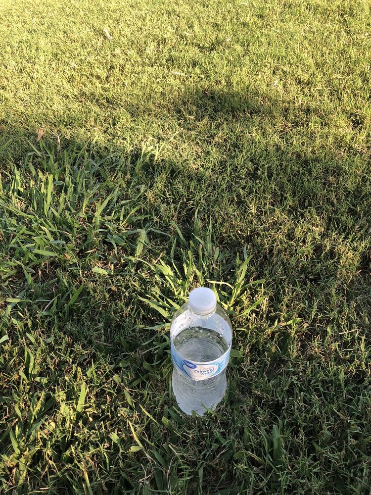 THE WILDERNESS GOLF COURSE - 13 Photos - Golf - 501 Hwy 332 W, Lake ...