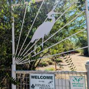 RIPARIAN PRESERVE AT WATER RANCH - 636 Photos & 222 Reviews - 2757 E ...