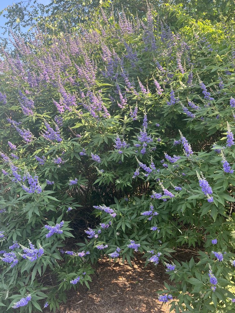 W KERR SCOTT DAM & RESERVOIR - 18 Photos - 499 Reservoir Rd, Wilkesboro ...