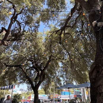 PERLA’S - 1935 Photos & 1888 Reviews - 1400 S Congress Ave, Austin ...