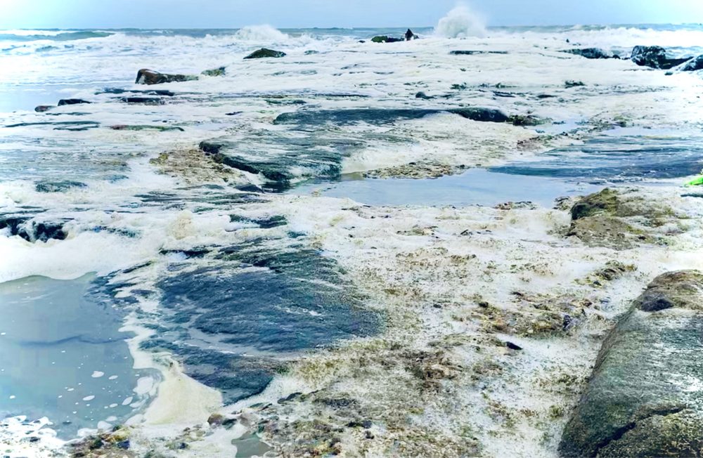 LONGPORT POINT - Updated December 2025 - 1100 Atlantic Ave, Longport ...