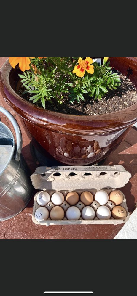 POREDA FARMS - 7743 Strong Rd, Newport, Michigan - Farms - Phone Number ...