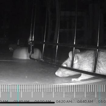 YATES-ASTRO TERMITE & PEST CONTROL - Updated August 2025 - 13 Photos ...