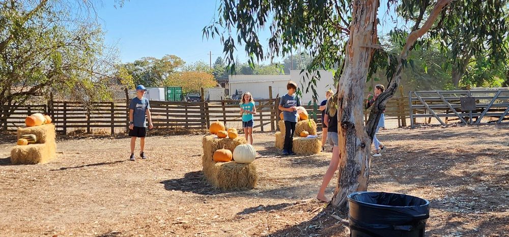 SONS FARM FRESH - 49 Photos - 1936 E F St, Oakdale, California - Fruits ...