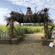 THREE CEDARS FARM - 340 Photos & 111 Reviews - Christmas Trees - 7897 ...