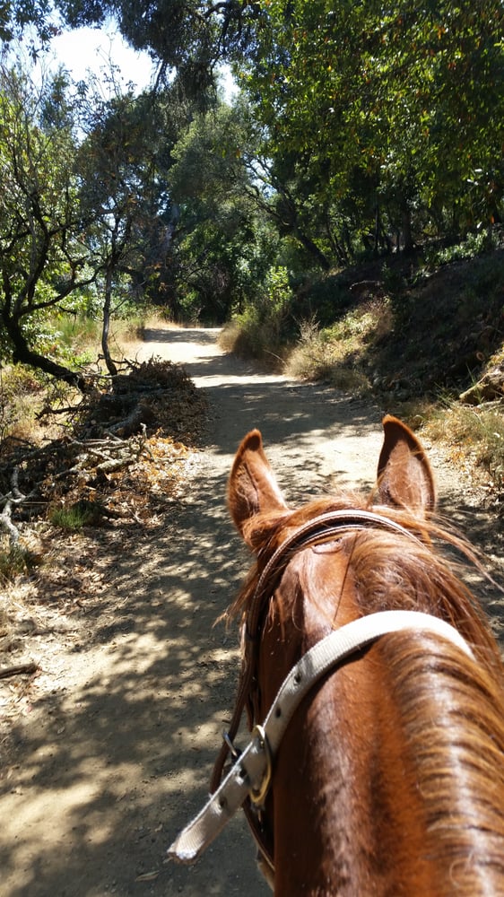 CHAPARRAL TRAIL RIDES AT FOLGER’S STABLE - Updated November 2024 - 13 ...