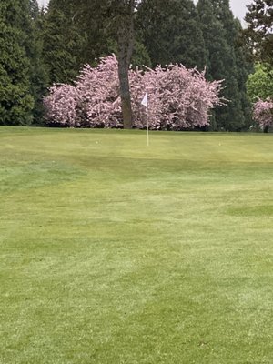 EASTMORELAND GOLF COURSE BAR AND GRILL - 14 Photos & 19 Reviews - 2425 ...