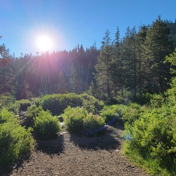 CASTLE LAKE CAMPGROUND - Updated December 2025 - 71 Photos & 16 Reviews ...