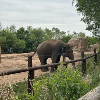OKLAHOMA CITY ZOO - Updated March 2025 - 1145 Photos & 296 Reviews ...