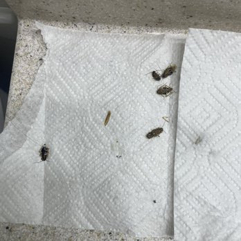 HOMETEAM PROPERTIES - Updated December 2025 - 20 Photos & 97 Reviews ...