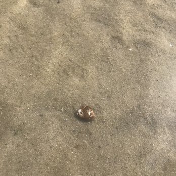 CHAPIN MEMORIAL BEACH - Updated September 2025 - 89 Photos & 33 Reviews ...