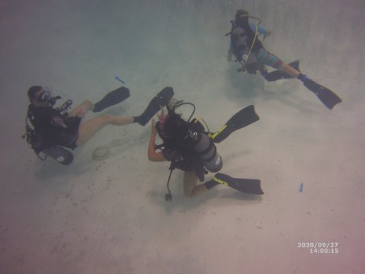 DEEP BLUE SCUBA & SWIM CENTER - Updated August 2024 - 35 Photos & 87 ...