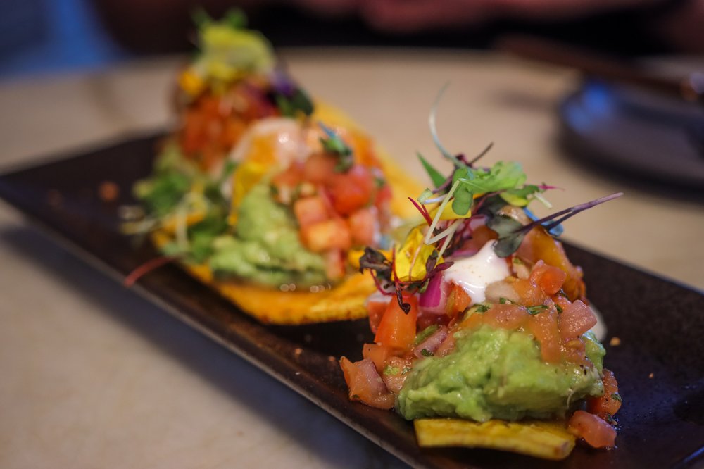 SAL Y MAR near 3650 Midtown Dr, Tampa, Florida - 509 Photos & 289 ...