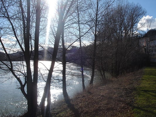PARC DES BERGES - Updated 05/2025 - Au bord du Rhône, Caluire-et-Cuire ...