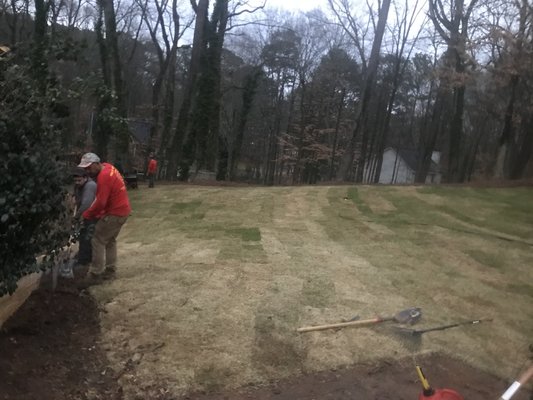 OAK TREE SERVICE - Updated August 2025 - 27 Photos & 11 Reviews ...