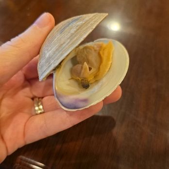 BONES-N-SHELLS - Updated October 2025 - 130 Photos & 36 Reviews - 2575 ...