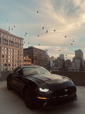 LASCO FORD - Updated October 2025 - 92 Photos & 149 Reviews - 2525 Owen ...