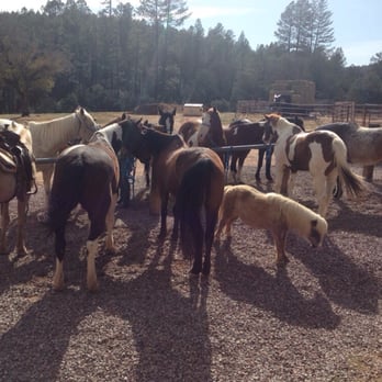 KOHL’S RANCH STABLES - Updated May 2024 - 28 Photos & 21 Reviews - 286 ...