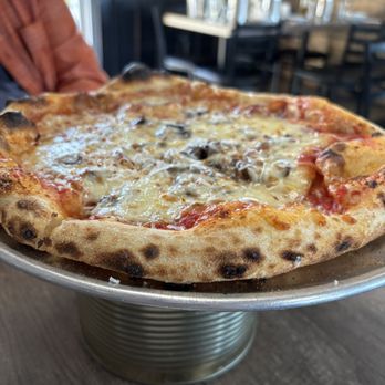 PIZZA TERRA - Updated September 2024 - 39 Photos & 56 Reviews - 302 ...
