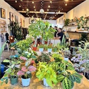 SACHI.LA - Updated November 2024 - 399 Photos & 271 Reviews - 4574 S ...