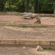 CONESTEE PARK - 19 Photos & 13 Reviews - 840 Mauldin Rd, Greenville, SC ...