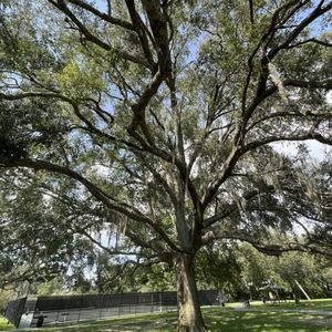 AZALEA LANE PLAYGROUND - Updated June 2025 - 30 Photos & 12 Reviews ...