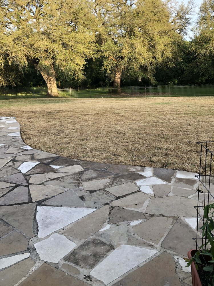 KING RANCH TURFGRASS - Updated May 2024 - 26 Photos & 60 Reviews ...