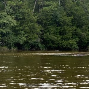 BLACKWATER TACTICAL RANGE - 11 Photos - 6001 Jeff Ates Rd, Milton ...