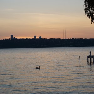 KINGSGATE LIBRARY - Updated October 2025 - 26 Photos & 25 Reviews ...