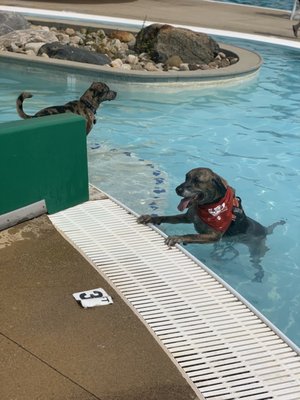 REED ROAD WATER PARK - 17 Photos - 2000 Hastings Ln, Upper Arlington ...