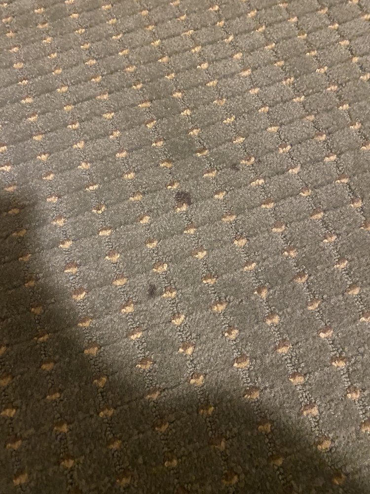 CLIPPER SHIP INN - Updated December 2025 - 29 Photos & 119 Reviews - 40 ...