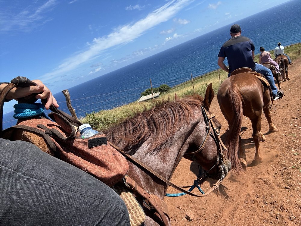 CIRCLE M RANCH - Updated May 2025 - 438 Photos & 272 Reviews - 3530 ...