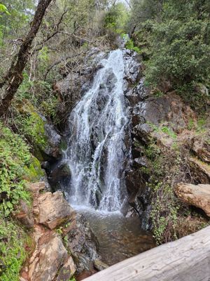 AMERICAN RIVER CANYON OVERLOOK PARK - 32 Photos - 855 Pacific Ave ...