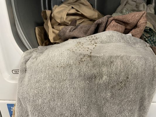 CSC SERVICEWORKS - Updated December 2025 - 73 Photos & 422 Reviews ...