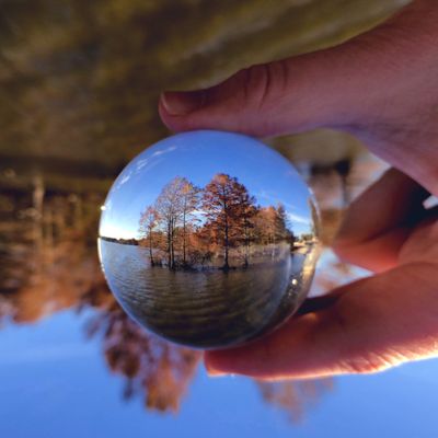 STUMPY LAKE NATURAL AREA - 208 Photos & 15 Reviews - Rafting/Kayaking ...