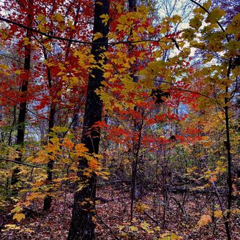 MACHINE FALLS LOOP TRAIL - Updated September 2025 - 95 Photos & 13 ...