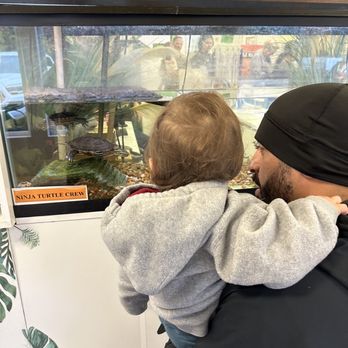 BUG & REPTILE MUSEUM - Updated December 2025 - 76 Photos & 43 Reviews ...