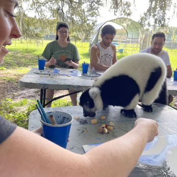 CHASE SANCTUARY - Updated January 2026 - 35 Photos & 10 Reviews - 6127 ...