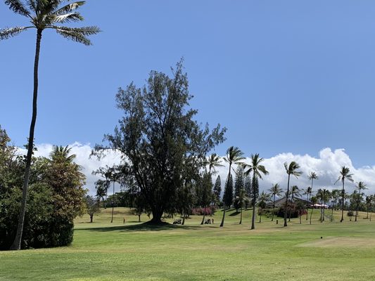 MAMALA BAY GOLF COURSE - 157 Photos & 29 Reviews - 625 Mamala Bay Dr ...