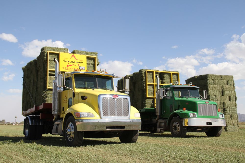 TATUM HAY & GRAIN - Updated December 2025 - 7001 W Southern Ave, Laveen ...