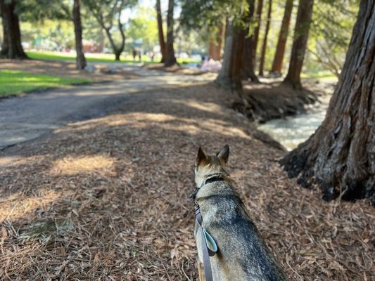 SHOUP PARK - Updated December 2025 - 121 Photos & 64 Reviews - 400 ...