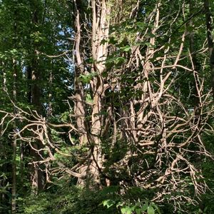 BULL RUN REGIONAL PARK - 94 Photos & 51 Reviews - Parks - 7700 Bull Run ...