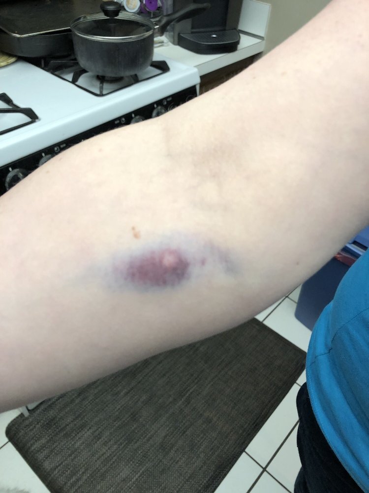 WELLPOINTE PAVILION - Updated October 2025 - 303 E Royalton Rd ...