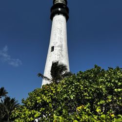 THE 10 BEST Things to Do in Andytown, FL - 2025 - Yelp