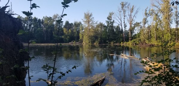 WHITAKER PONDS NATURE PARK - Updated August 2025 - 32 Photos - 7040 NE ...