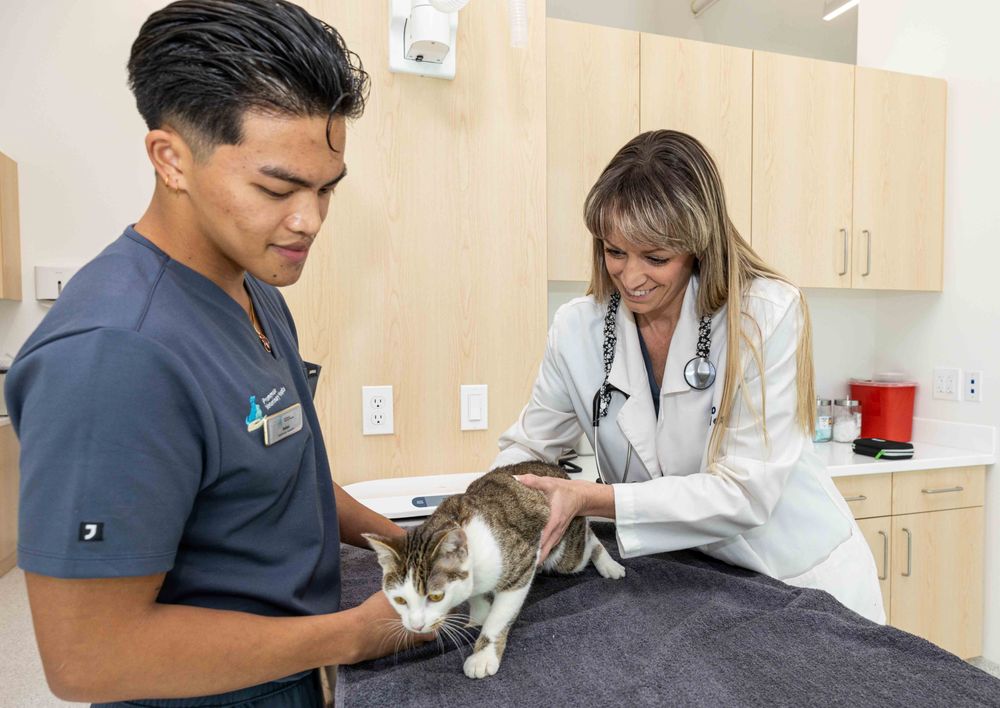 Promenade Veterinary Hospital - Updated June 2026 - 43 Photos & 47 ...