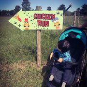 SNEADS FARM - 89 Photos & 31 Reviews - 18294 Tidewater Trl ...